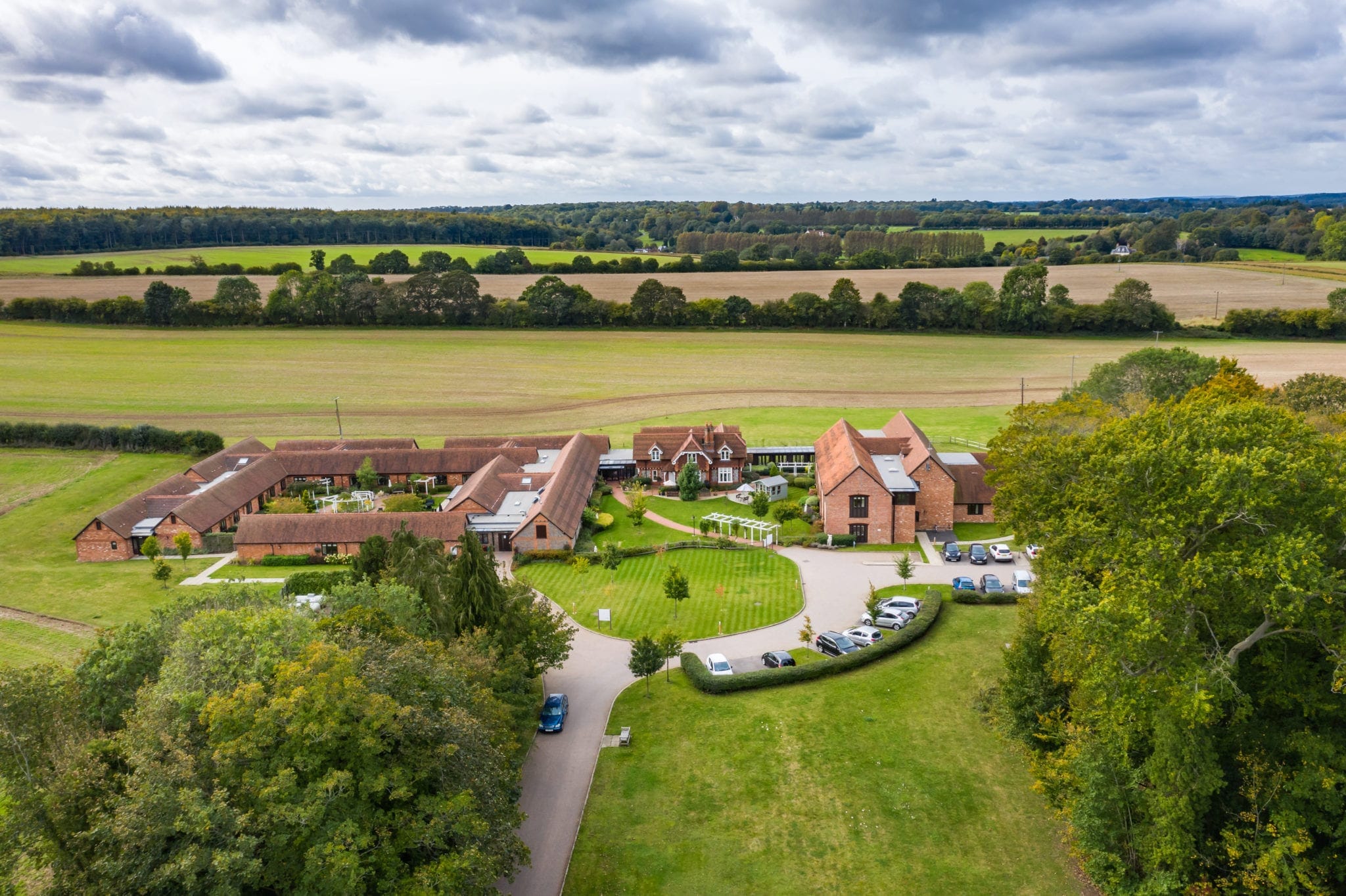 Forest Care-11 - Forest Care